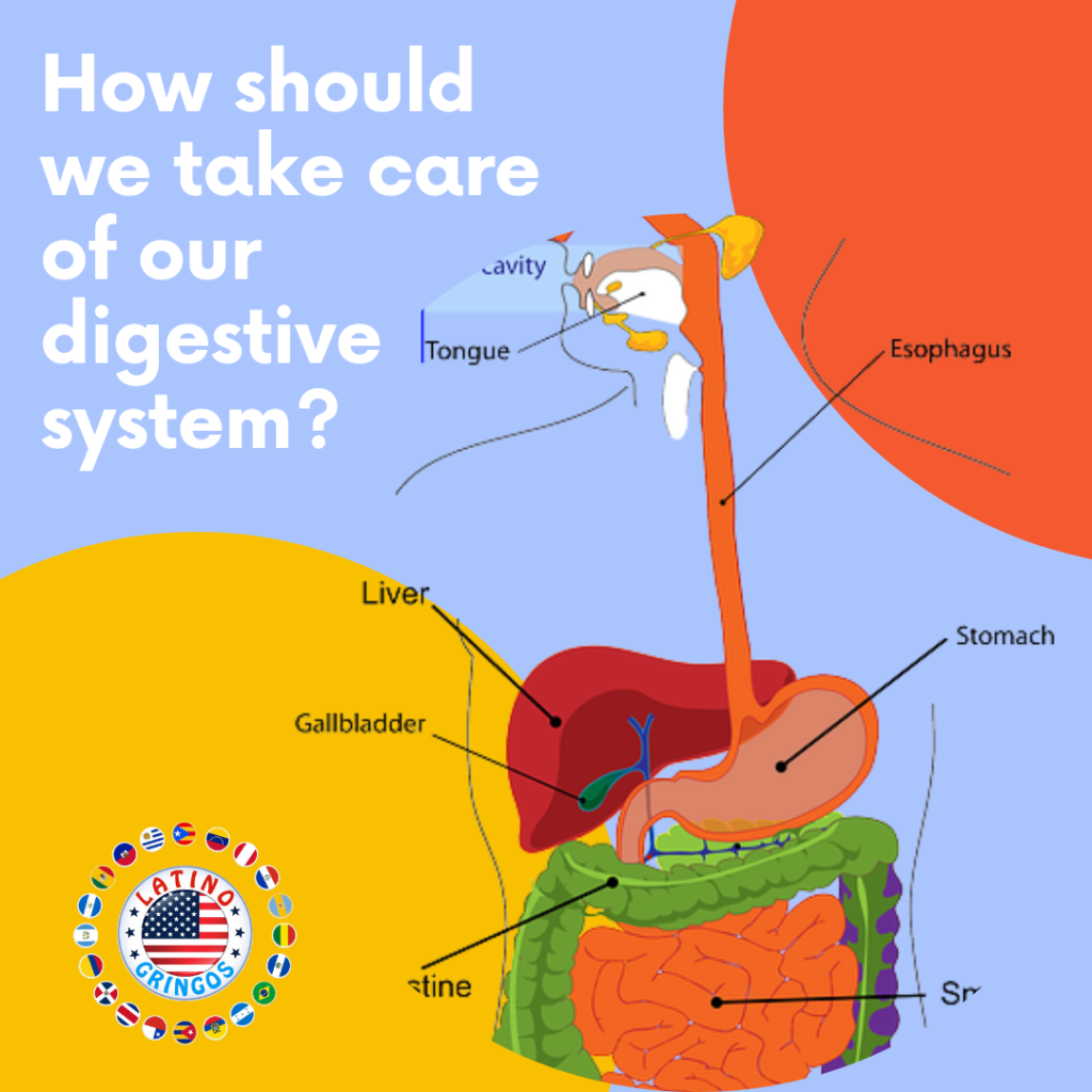 How Should we Take Care of Our Digestive System? - Latinos turned Gringos